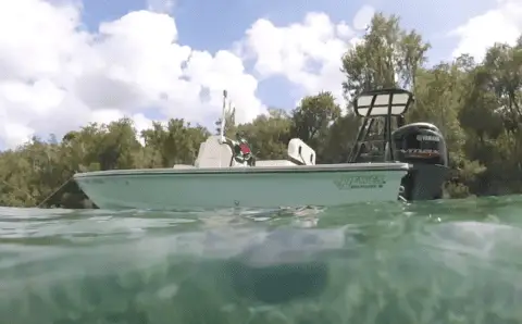 The 5 Best Florida Springs to Visit by Boat - Lazy Locations - Florida